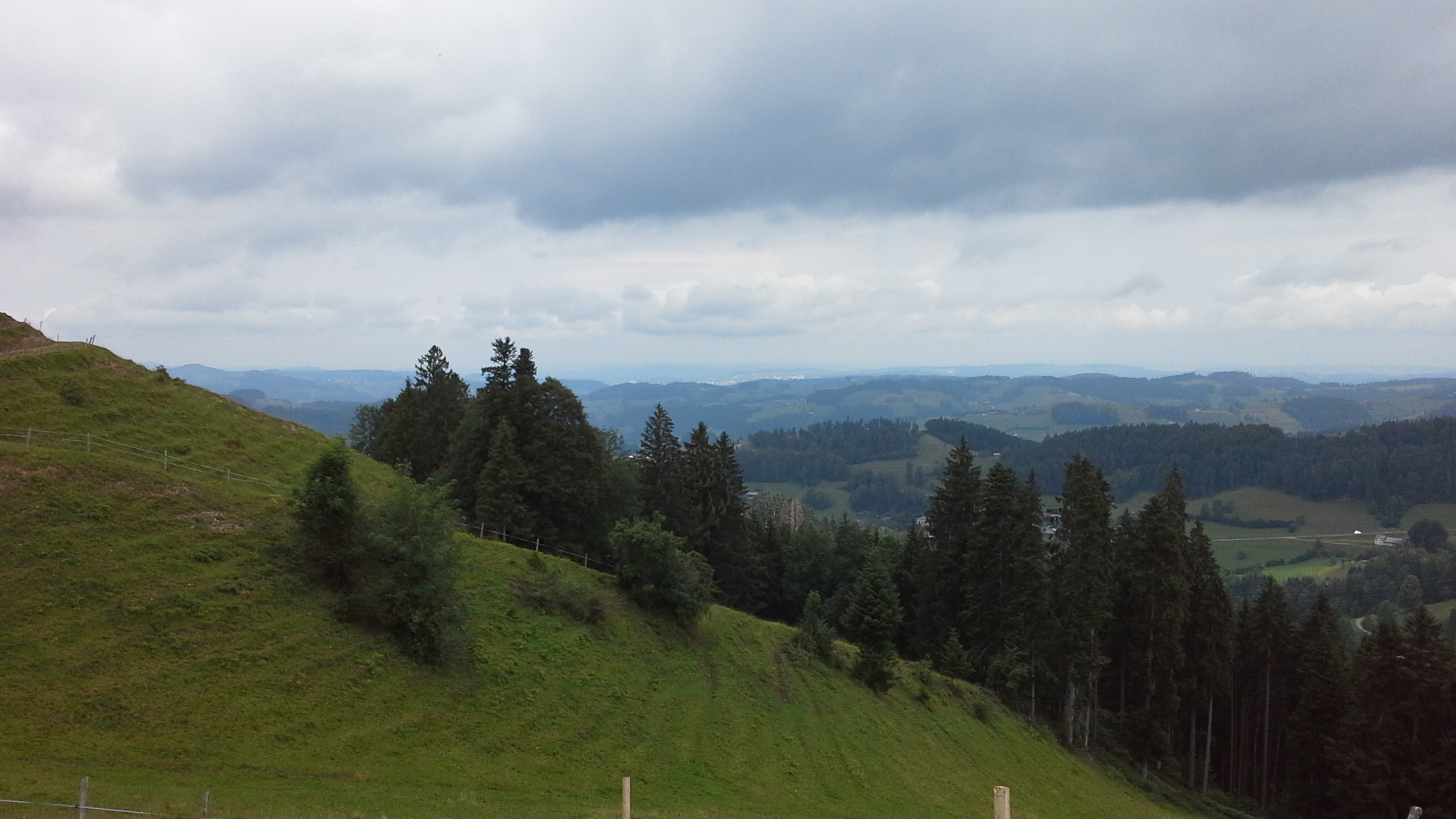 Wanderung Mogelsberg - Baumwipfelpfad - Brunnadern